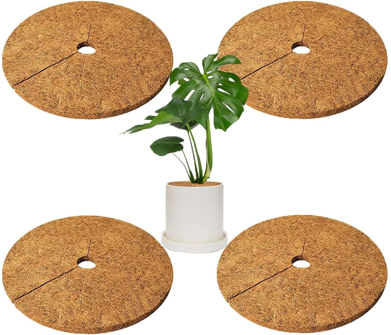 Bexikou Coco Coir Natural Coconut Fiber Mulch Mat, 11.8 inch with ...