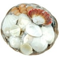 Coco Midrib Sea Shell Pack: Natural, 6 inches - Walmart.com