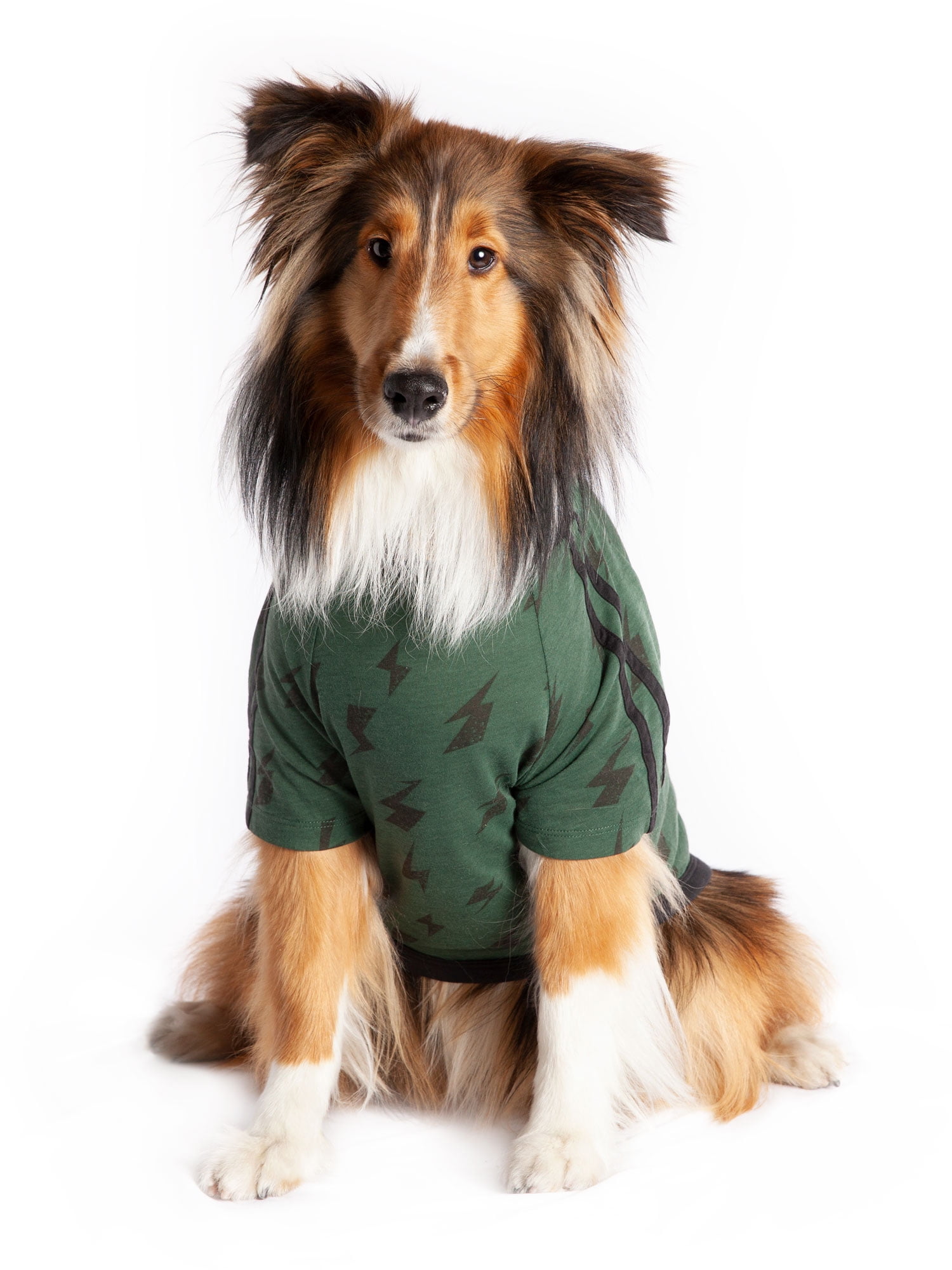 Coco + Rebel Pet, Green Lightning Bolt Athletic Dog T-Shirt - Walmart.com