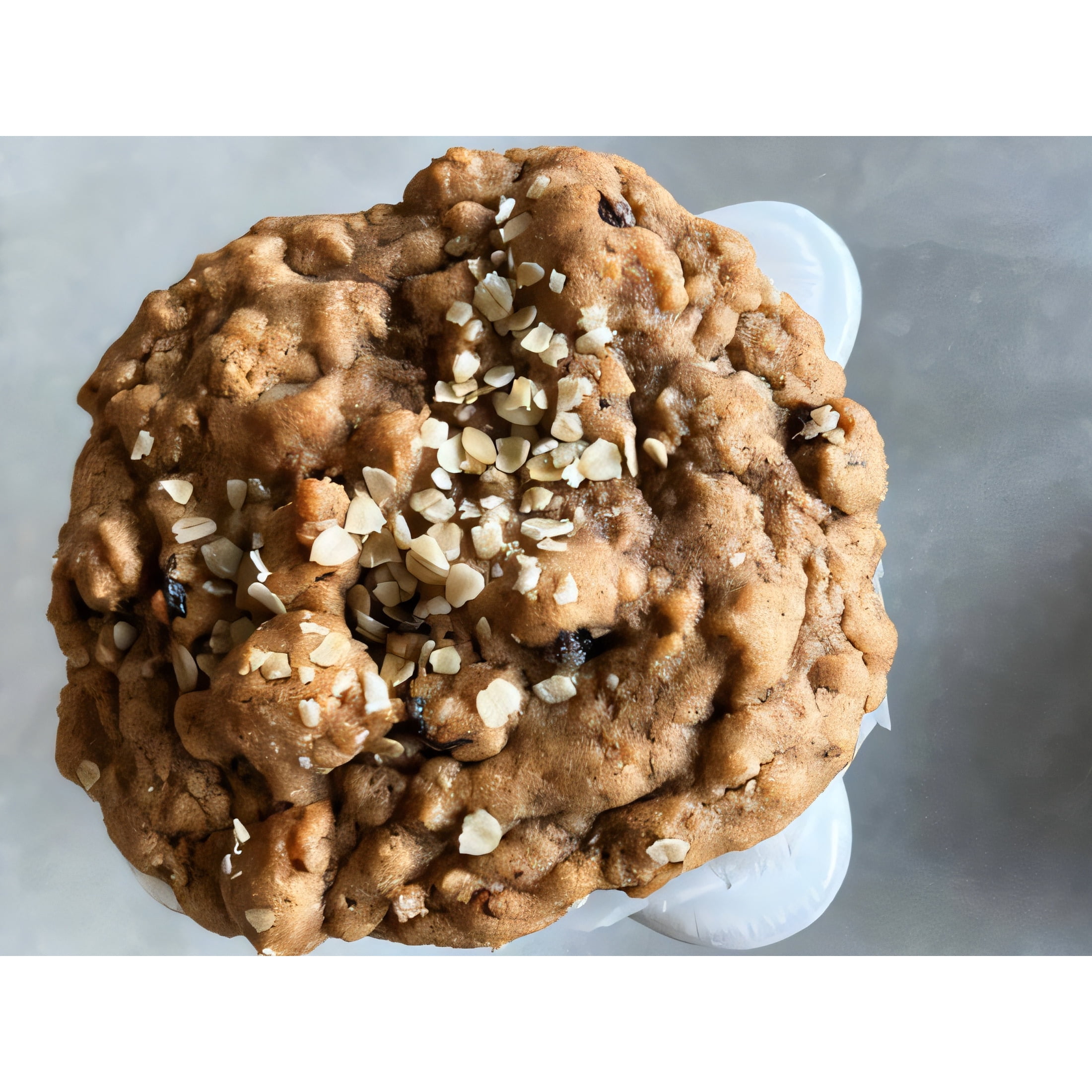 Cocoacookiebar - Oatmeal Raisin Cookie - Flight (4) - Walmart.com