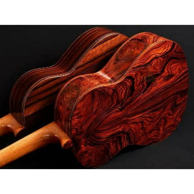 Cocobolo Tree Seeds for Planting - Highly Desired Lumber for Fine ...