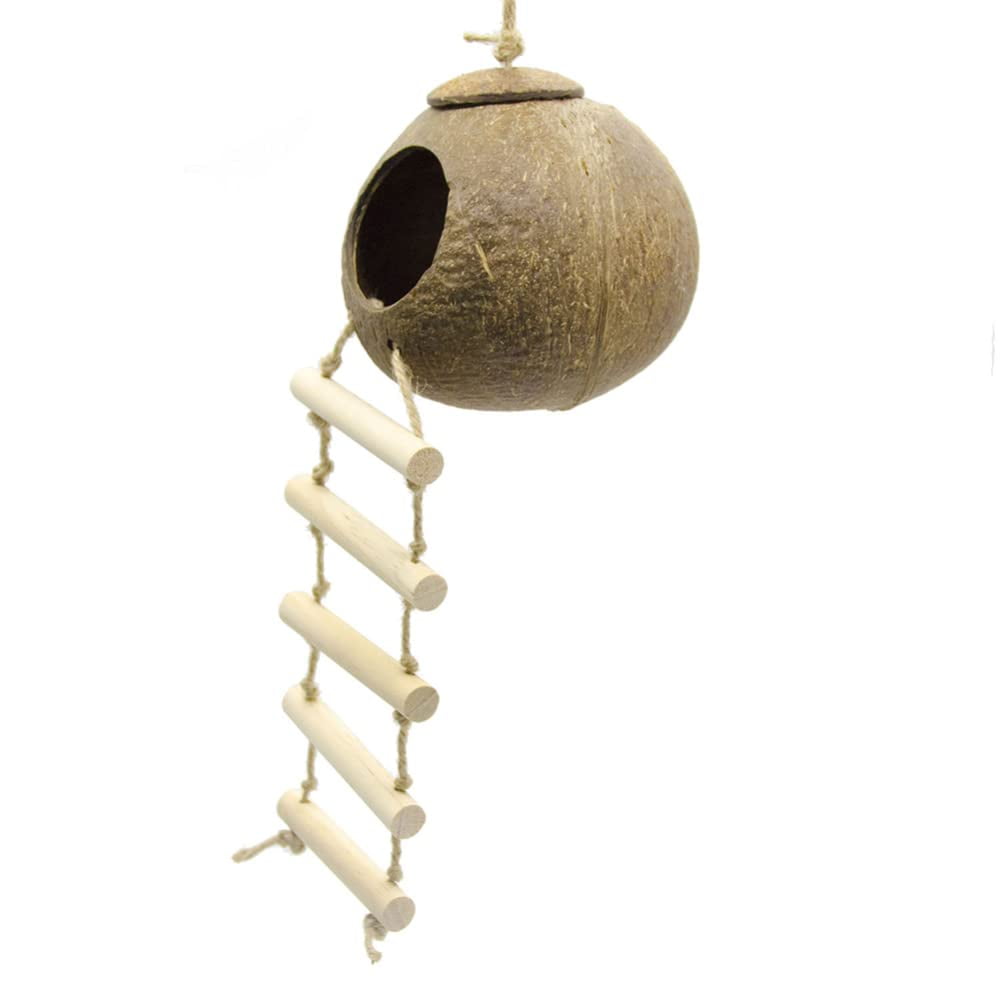 Coconut Bird Nest Hut with Ladder Hanging,Hanging Coconut Bird House ...