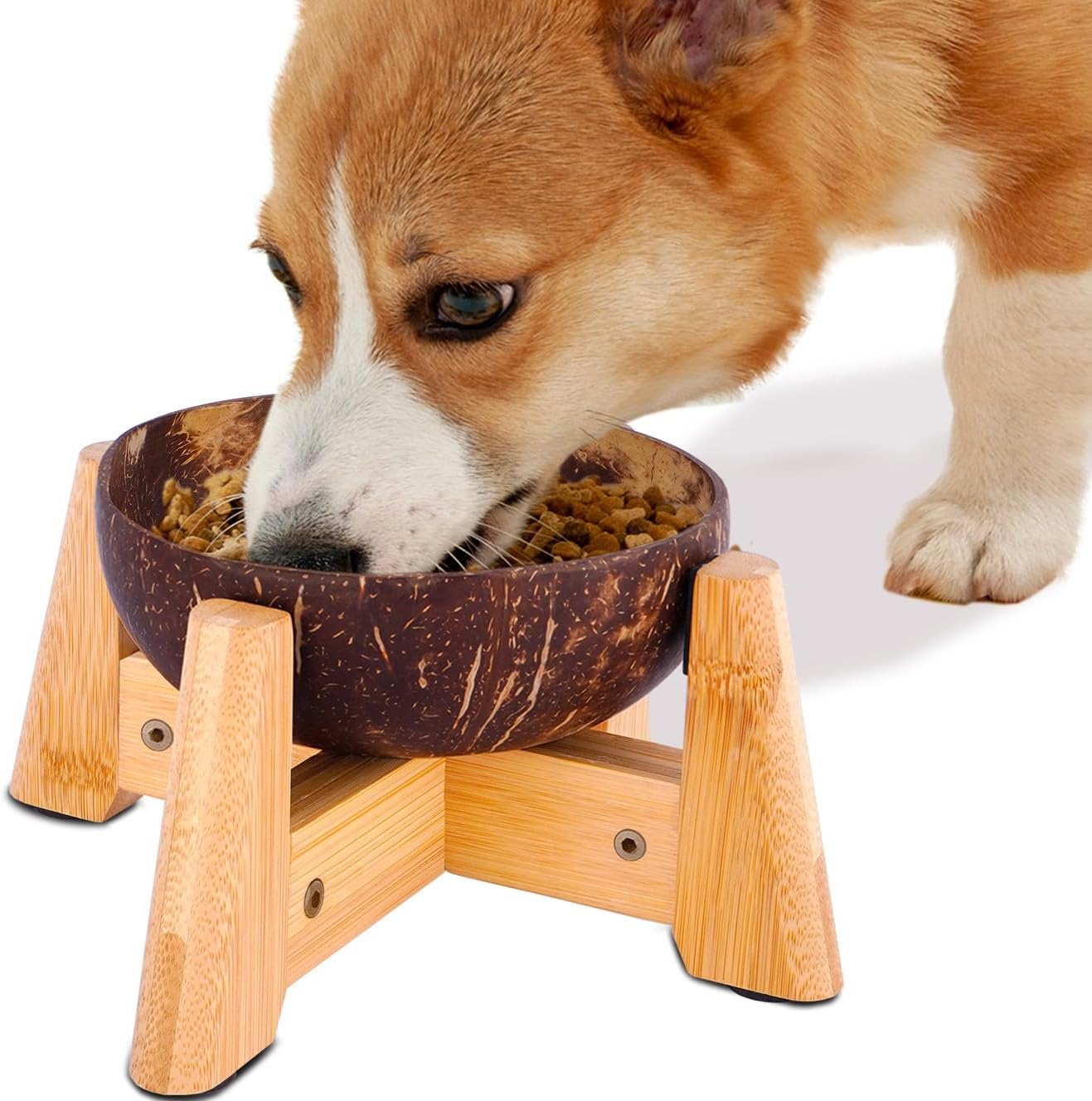 Coconut Dog Bowl - Wooden Dog Feeder with Stand - Ideal for Small ...