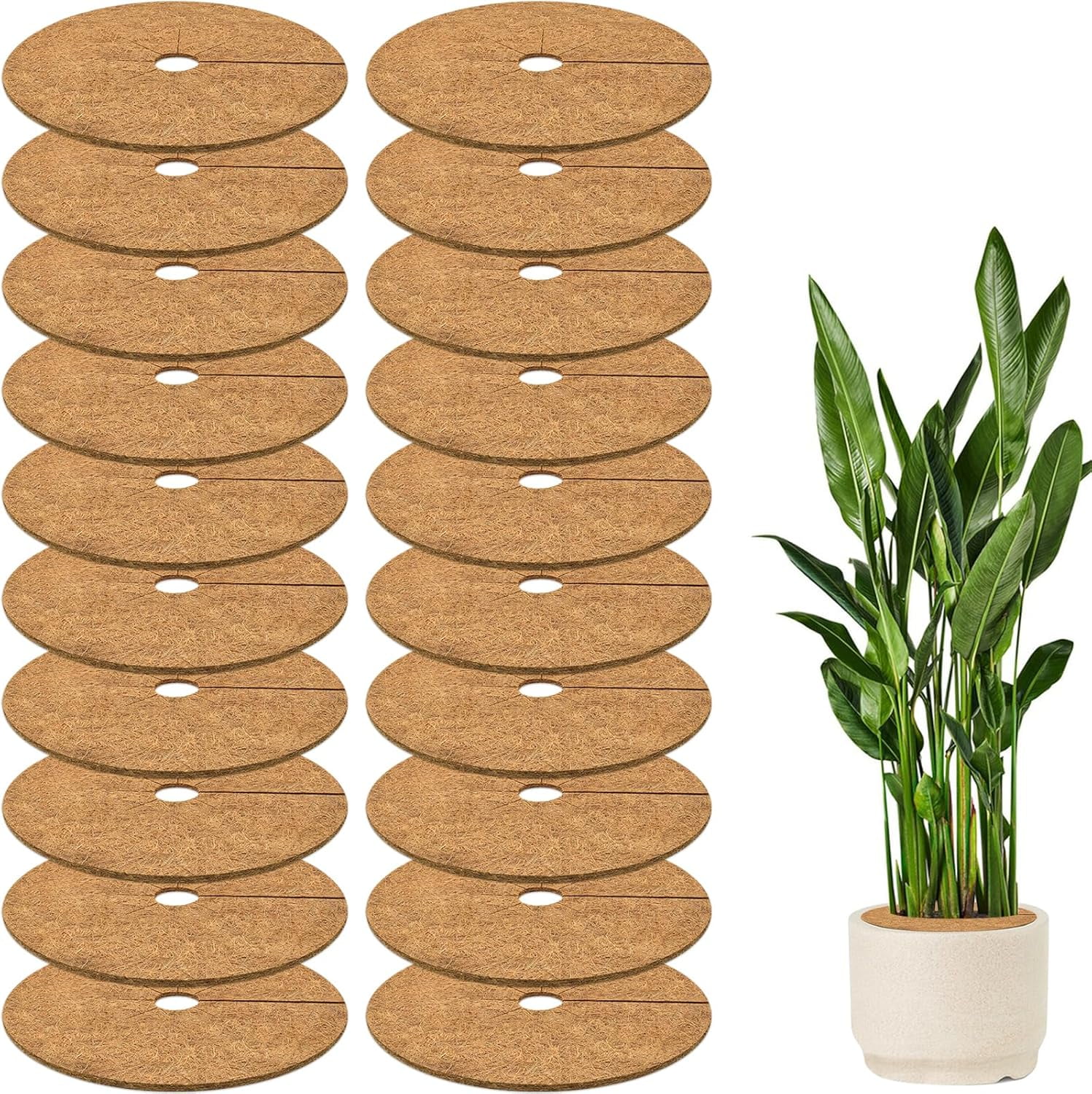 Coconut Fiber Mulch Ring, Coco Coir Tree Ring Mulch Mat, 100% Natural ...