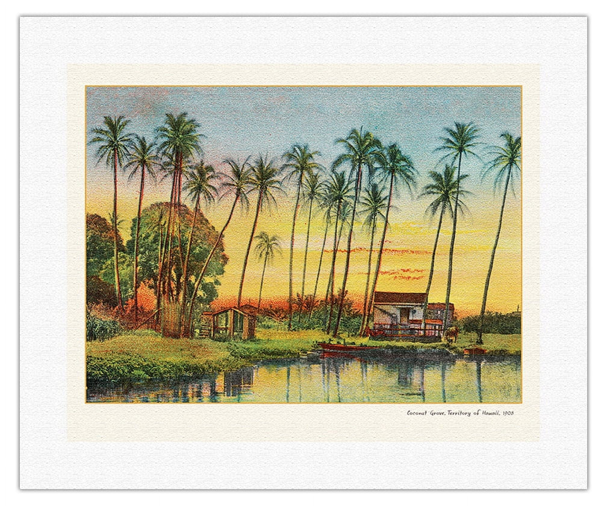 Coconut Grove - Territory of Hawaii - Vintage Hawaiian Color Postcard c ...