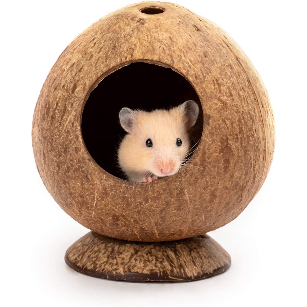 Coconut Hut Hamster House Bed for Gerbils Mice Small Animal Cage ...