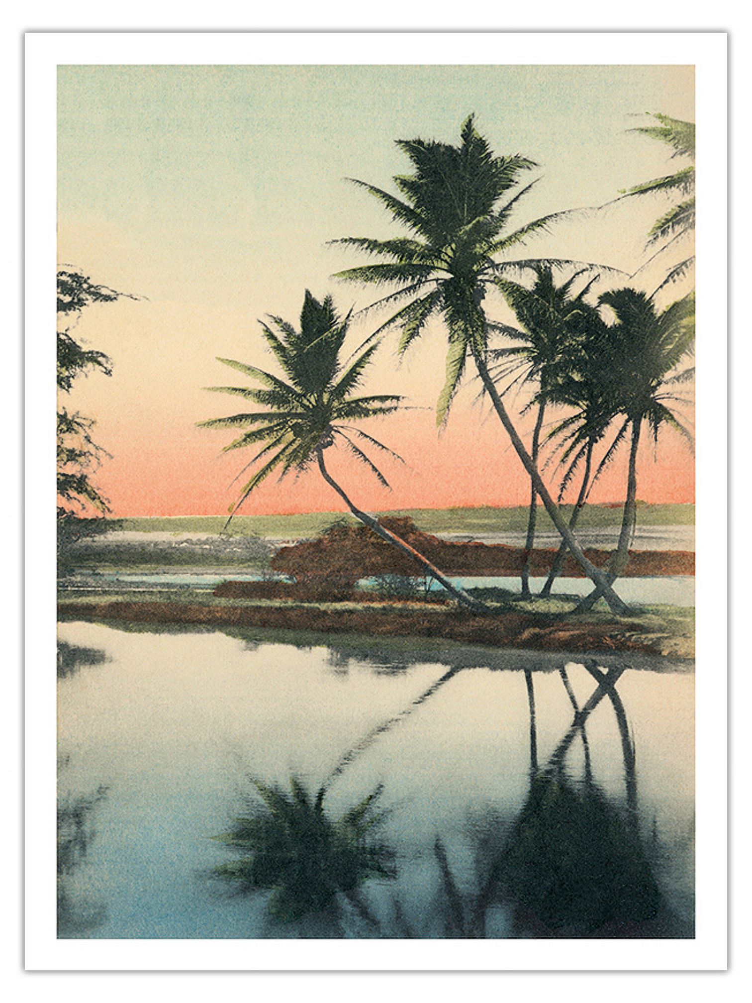 Coconut Lagoon - Hawaii & South Seas Curio Company - Vintage Hawaiian ...