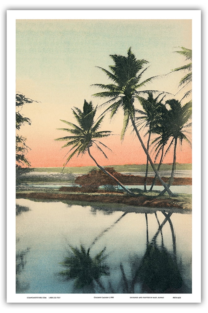 Coconut Lagoon - Hawaii & South Seas Curio Company - Vintage Hawaiian ...