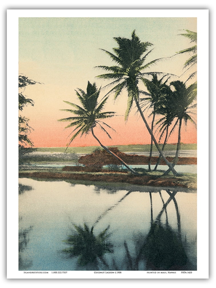 Coconut Lagoon - Hawaii & South Seas Curio Company - Vintage Hawaiian ...