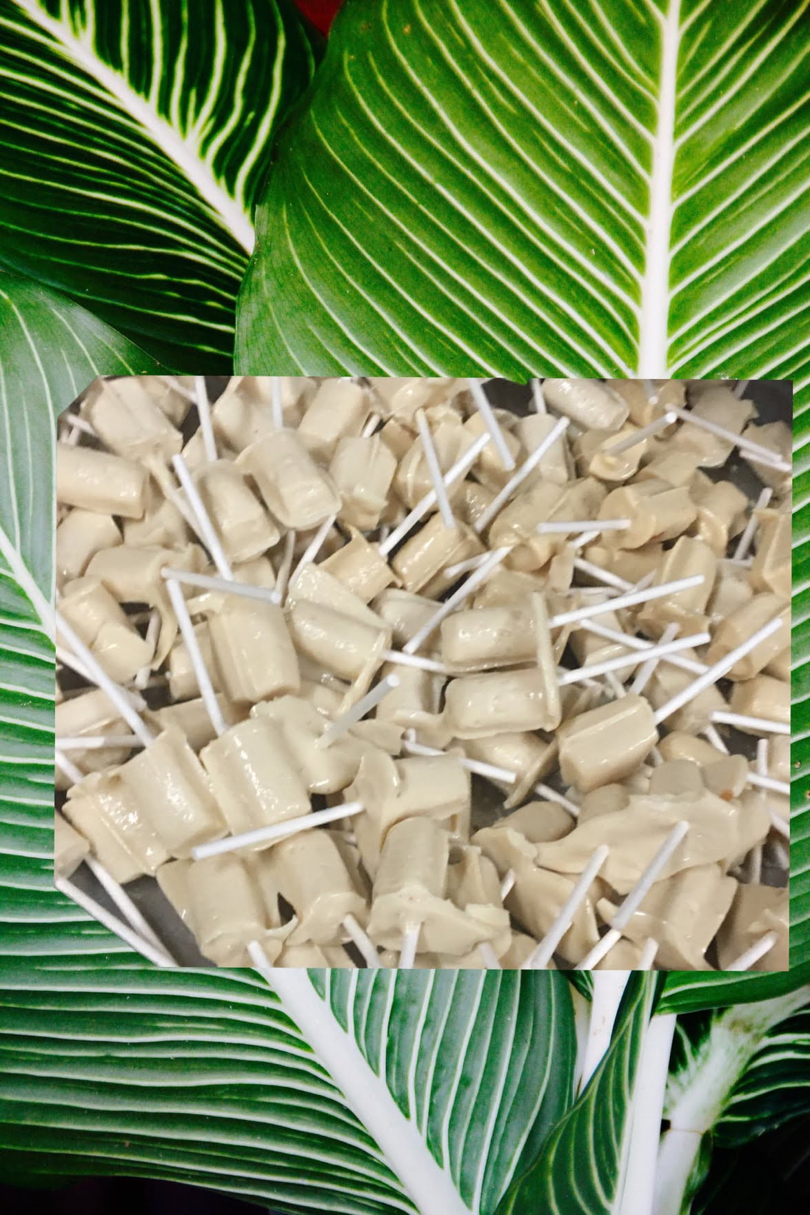 Coconut Lollipops (Pilones de Coco) - Walmart.com