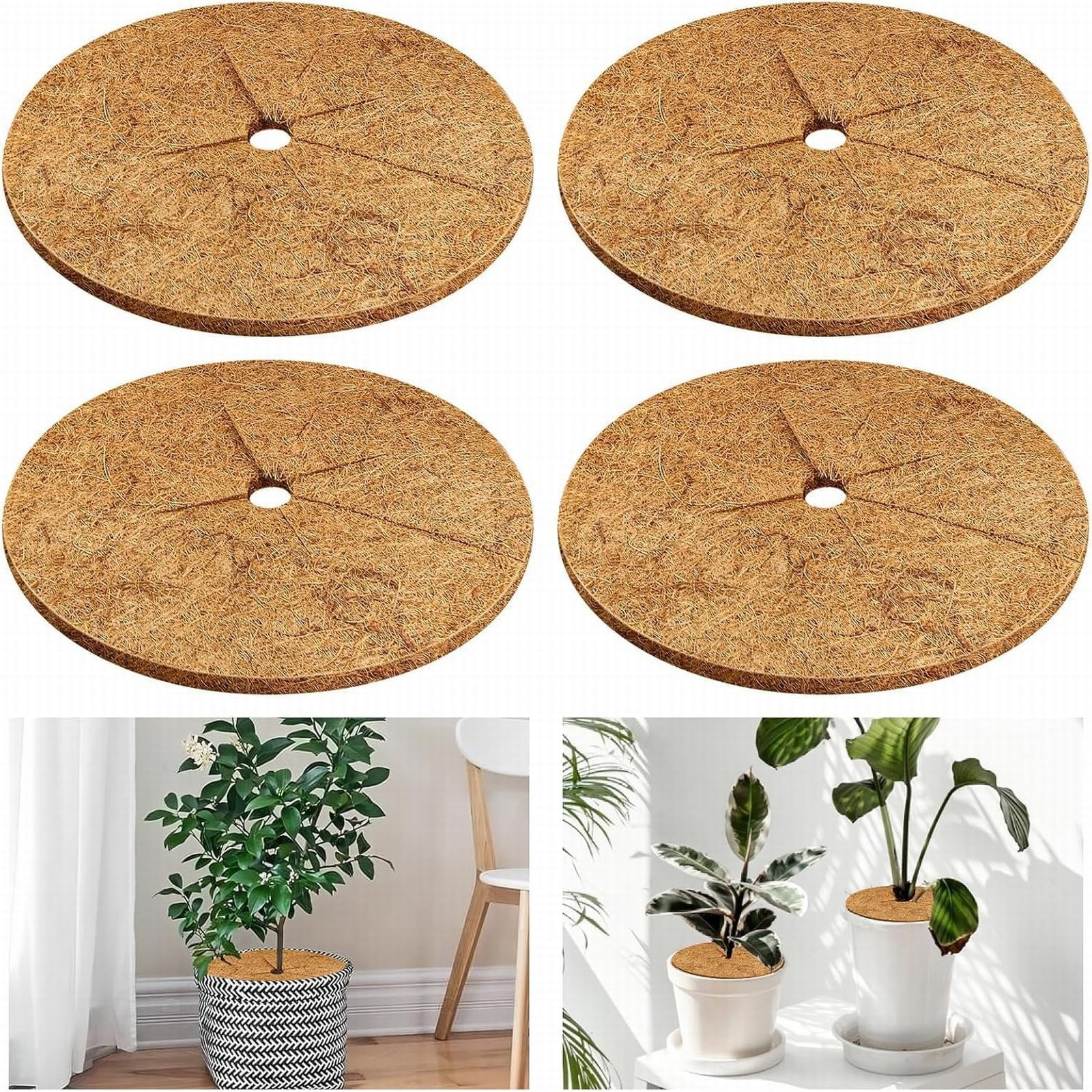 Coconut Mulch Disc Coconut Disc Pack Of 4 45 Cm Diameter Coconut Mat ...