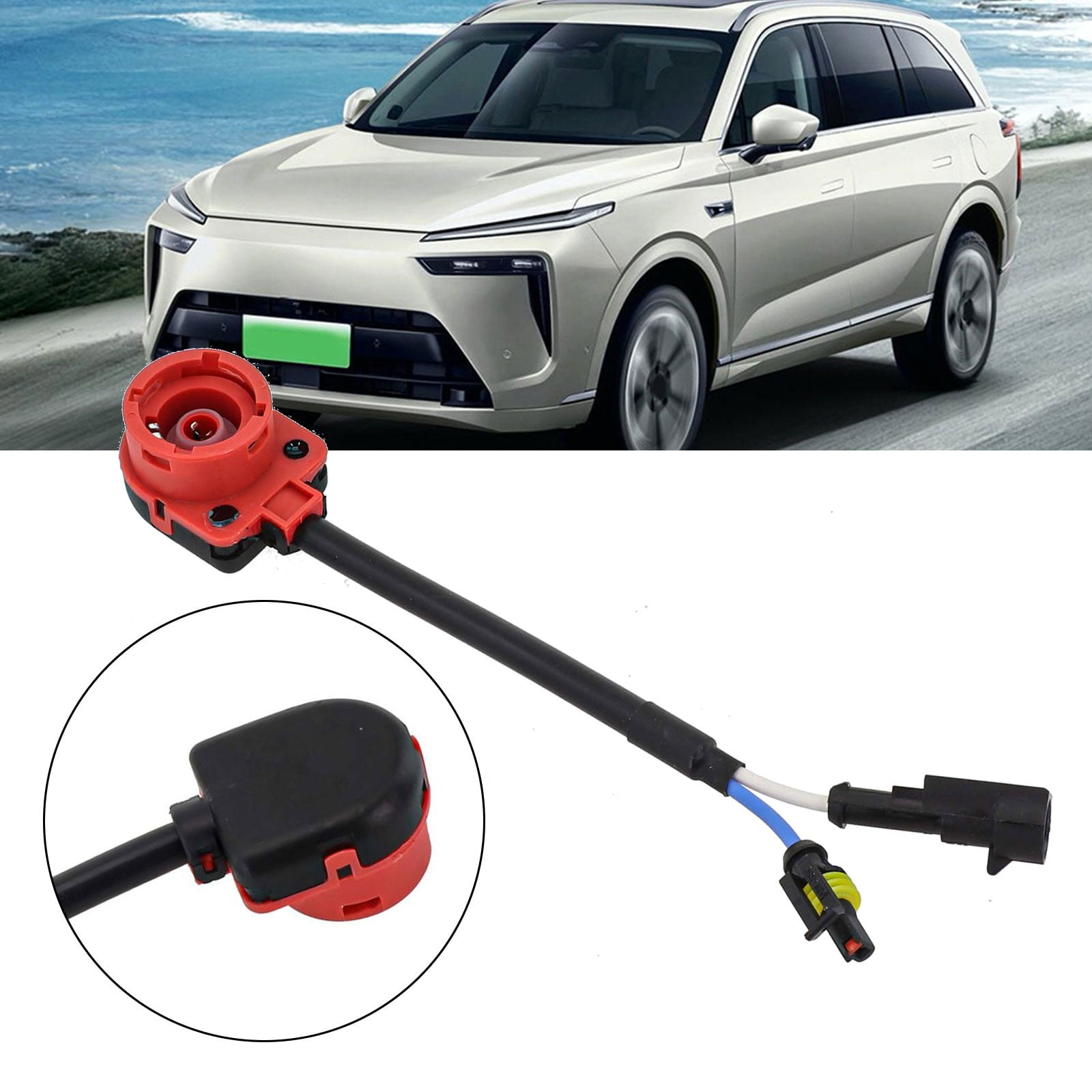 Coconut Ok for D2 for D2S for D2R Bulb Adapters Wire Harness Connector ...