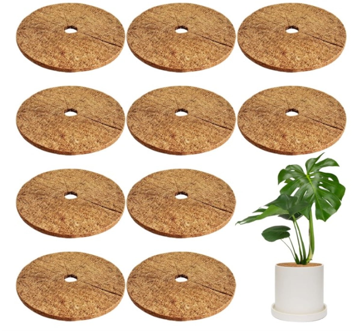Coconut Root Protection Ring,10 Pcs Porous and Permeable Plants ...