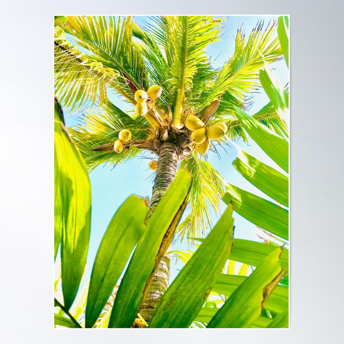 Coconut Tree Poster Wall Art, Modern Wall Decor For Living Room Bedroom ...