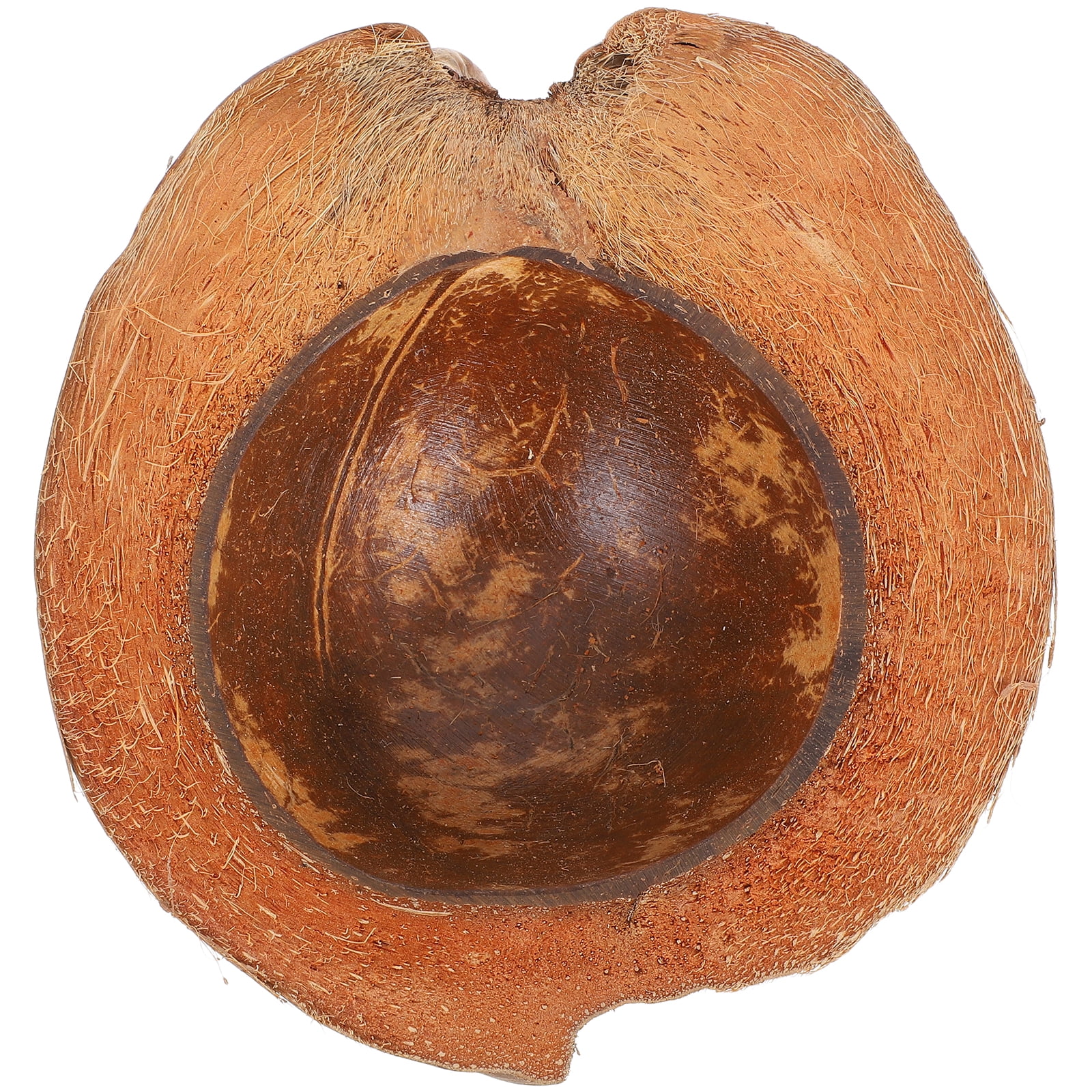 Coconuts Shell Salad Bowl Food Container Dessert Container for Home ...