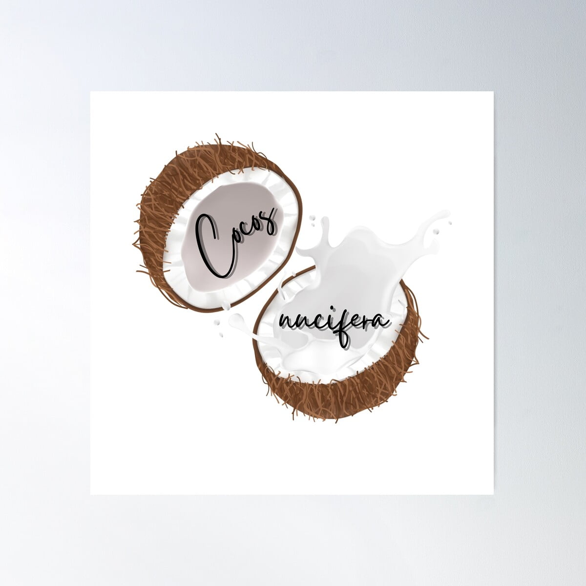 Cocos Nucifera-Educational Poster Wall Art, Modern Wall Decor For ...