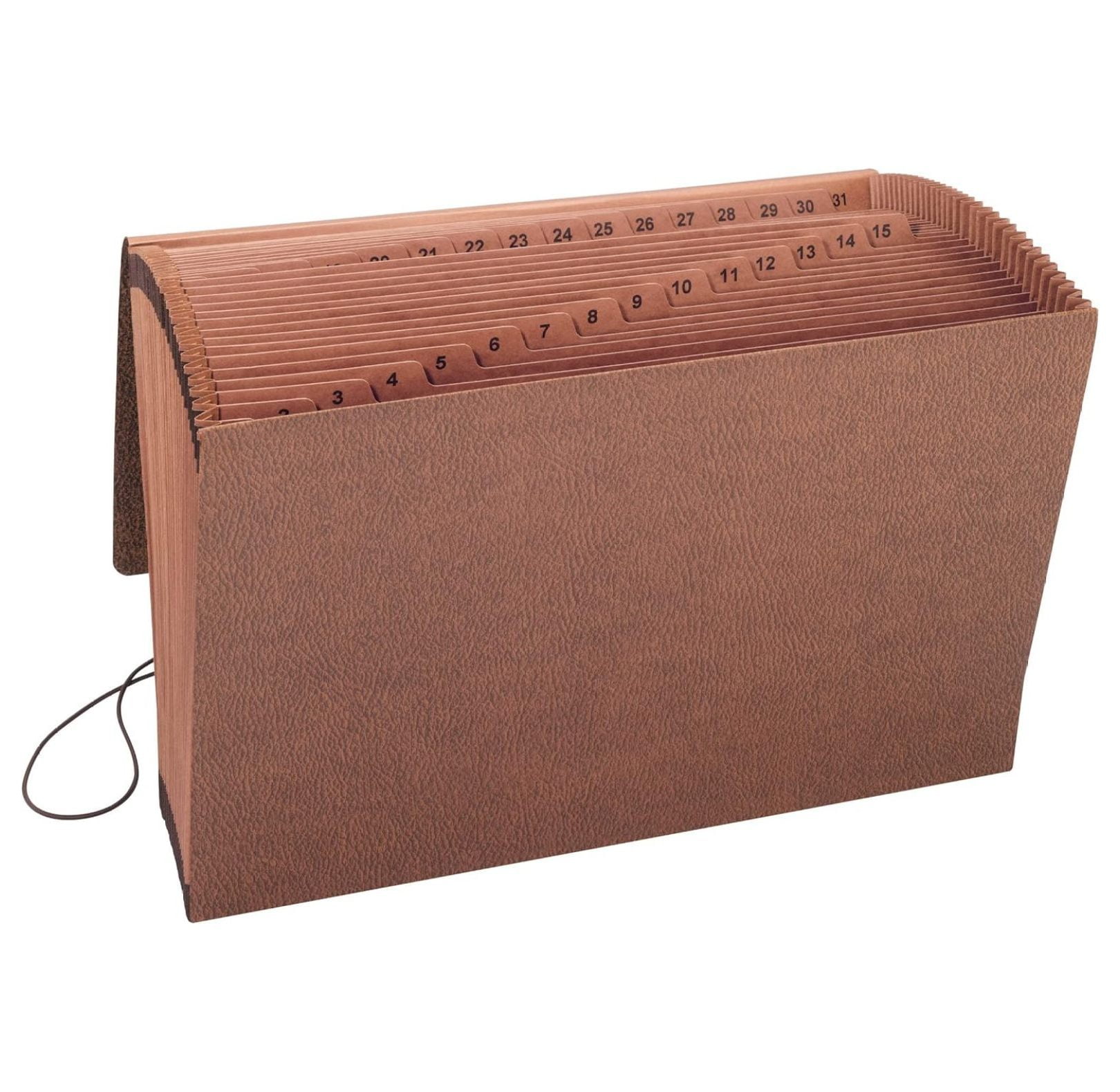 CodYinFI TUFF Expanding File, 31 Pockets, Daily (1-31), Flap and Cord ...