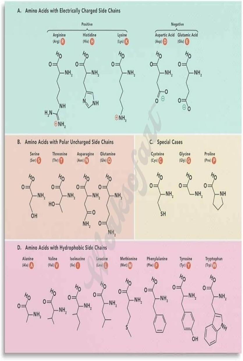 Code For Amino Acids Chart Poster Biology Wall Art for Bedroom Living ...