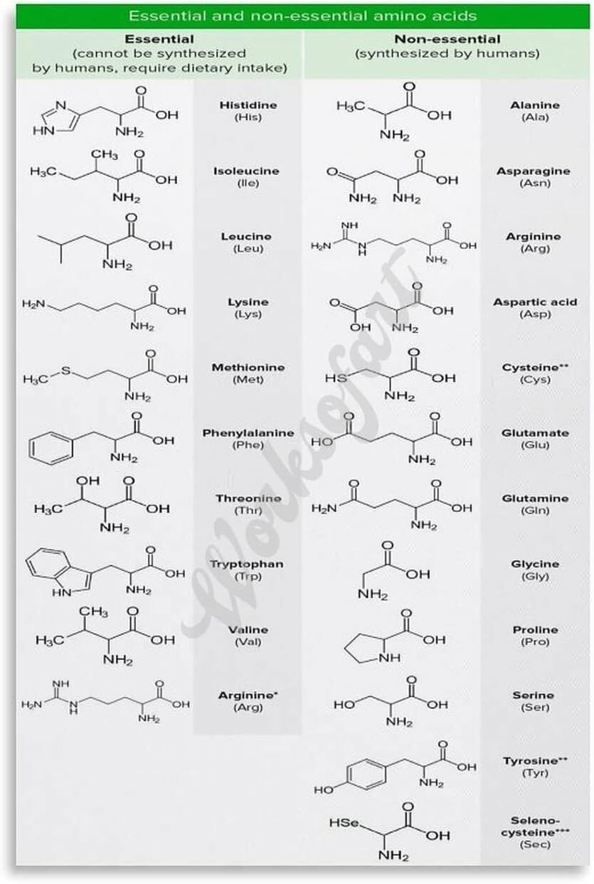 Code For Amino Acids Chart Poster Biology Wall Art for Bedroom Living ...