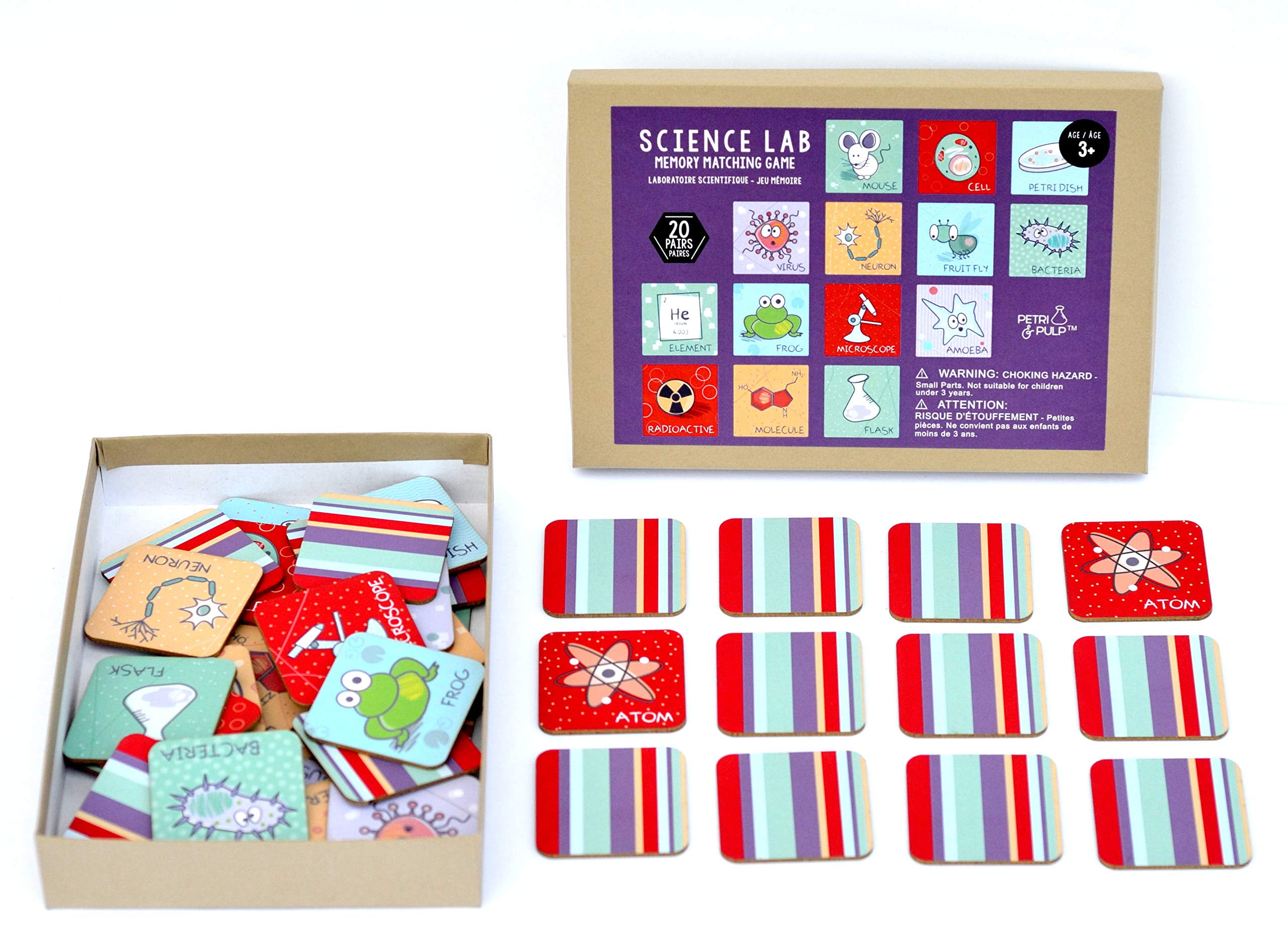 Science Lab Memory Matching MMF7 Game by Petri & Pulp - Walmart.com