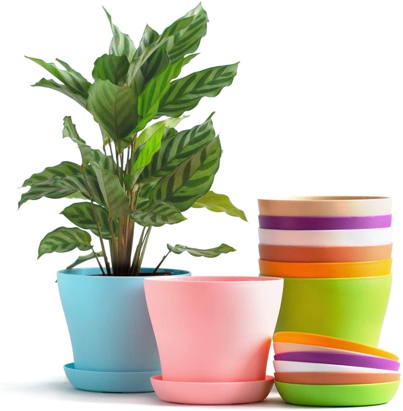 Codream 5" Multi-colored Plastic Flower Plant Pots with Drainage Holes ...