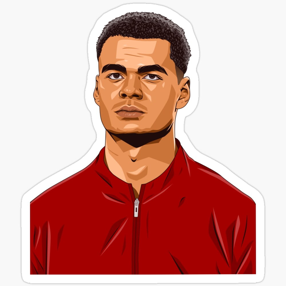 Cody Gakpo Sticker Phone Decal Water Bottle Stickers Car Decals, Laptop ...