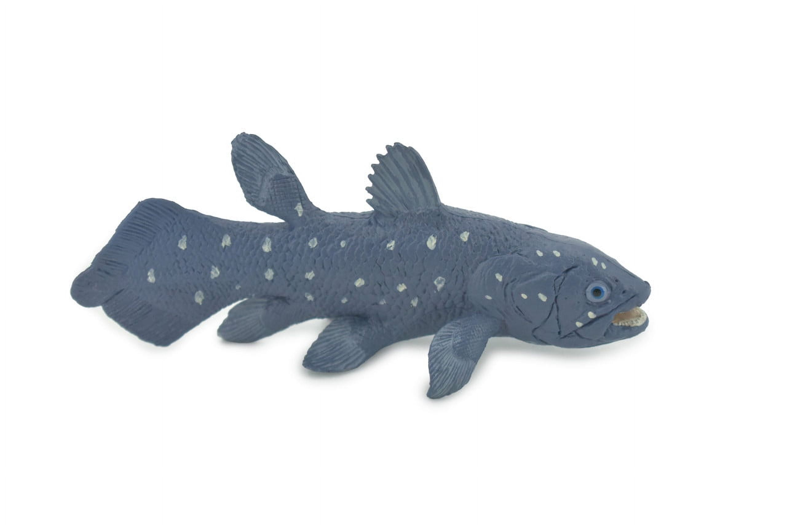 Coelacanth, Cretaceous Period, Museum Quality, Hand Painted, Rubber ...