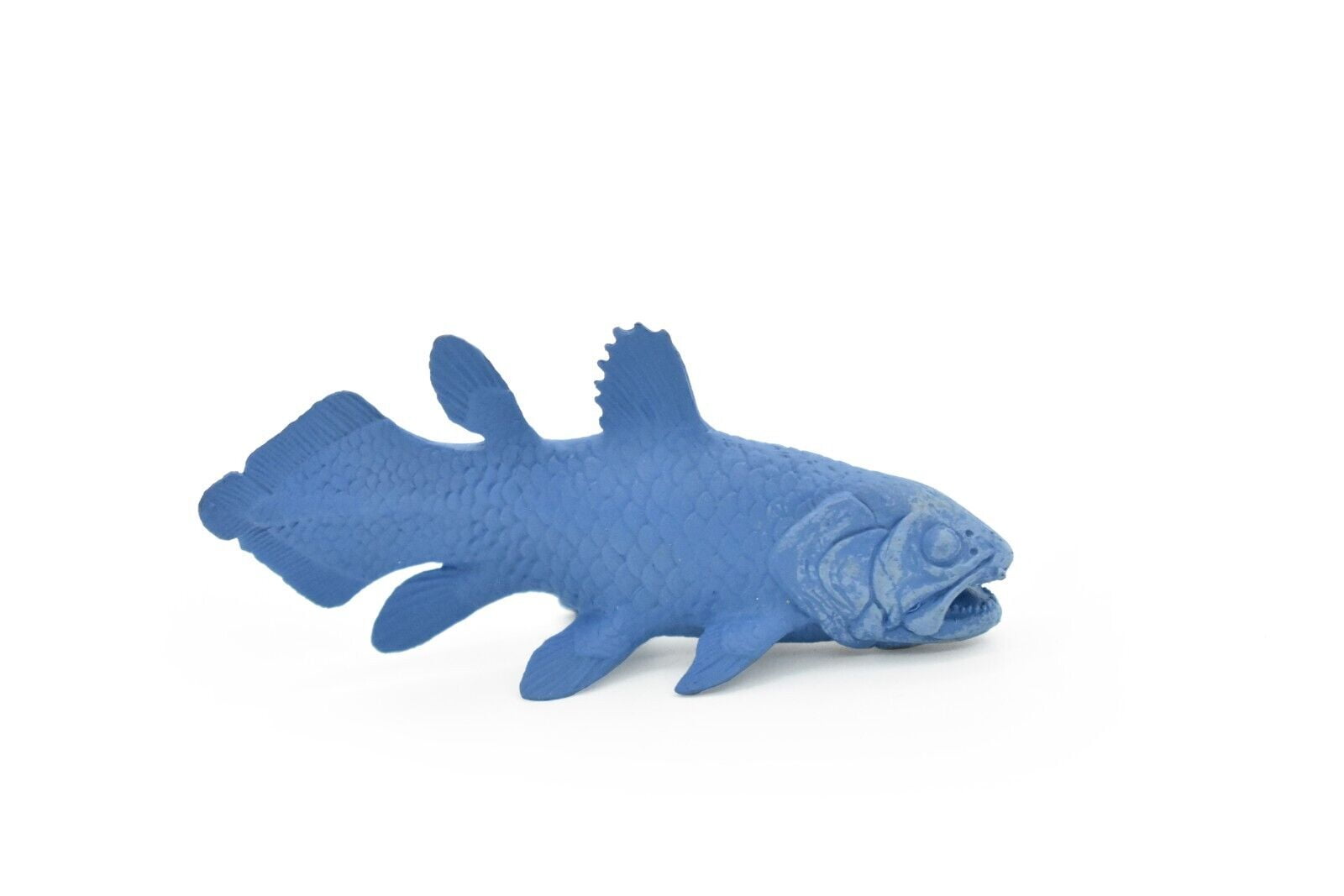 Coelacanth, Fish, Saltwater Fish, Rubber Fish, Hand Painted, Realistic ...