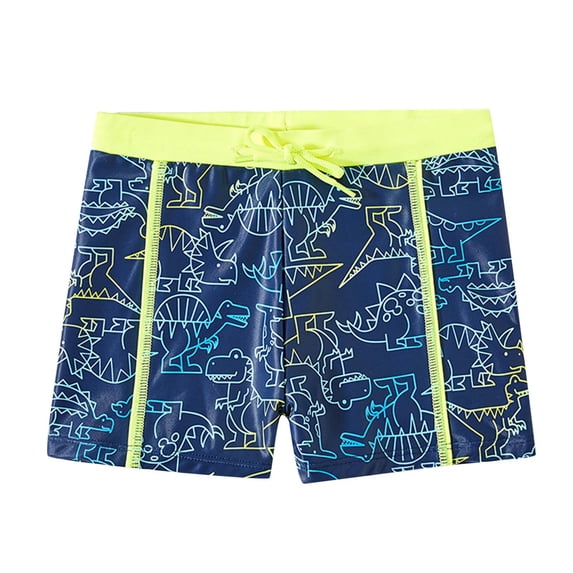 Coerni Boys Shorts Swimsuit Elastic Waist Dinosaur Graffiti Print Swim ...