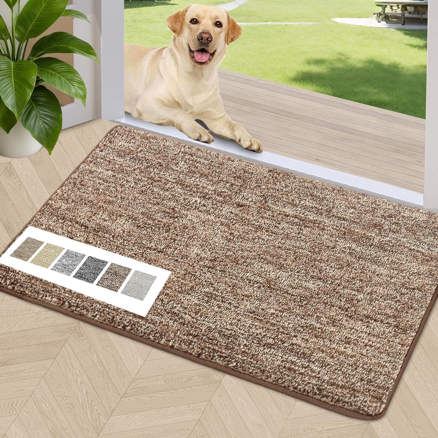 Coffee/Brown Doormat, 24'x36', Indoor Non Slip Absorbent Rug for ...