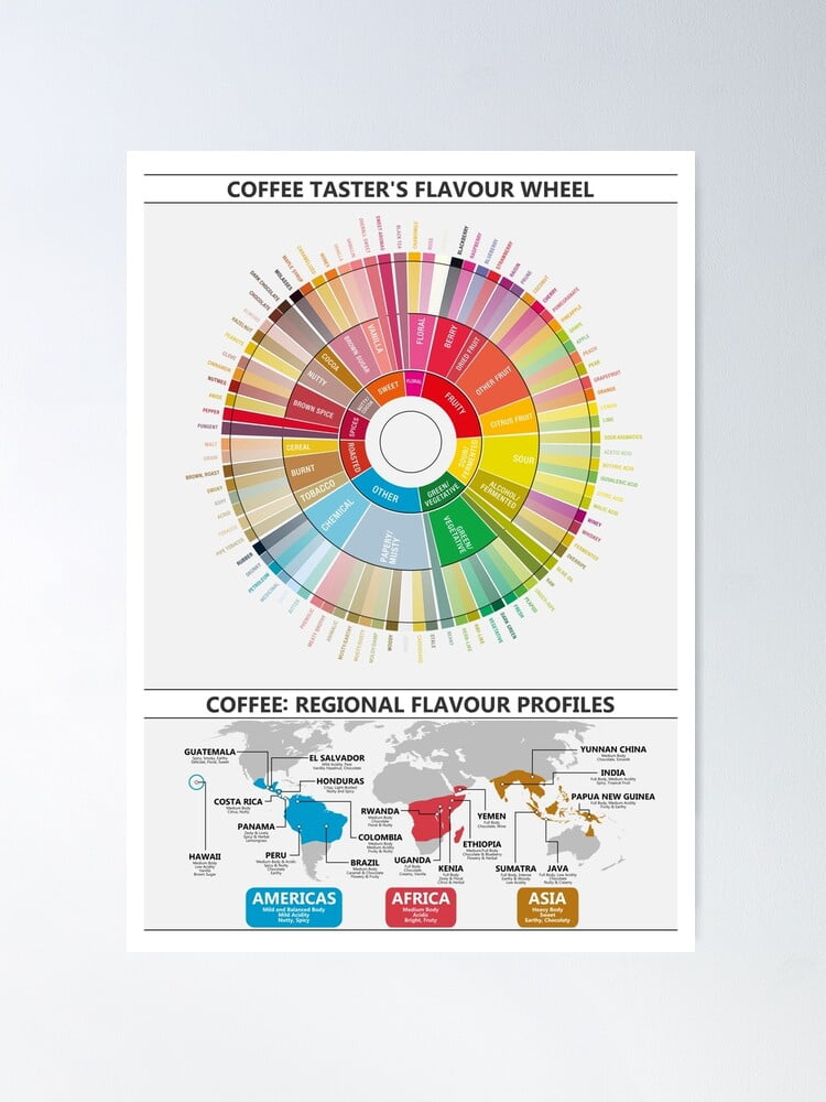 Coffee Flavour Profiles: Flavour Wheel and Regional Maps Poster ...