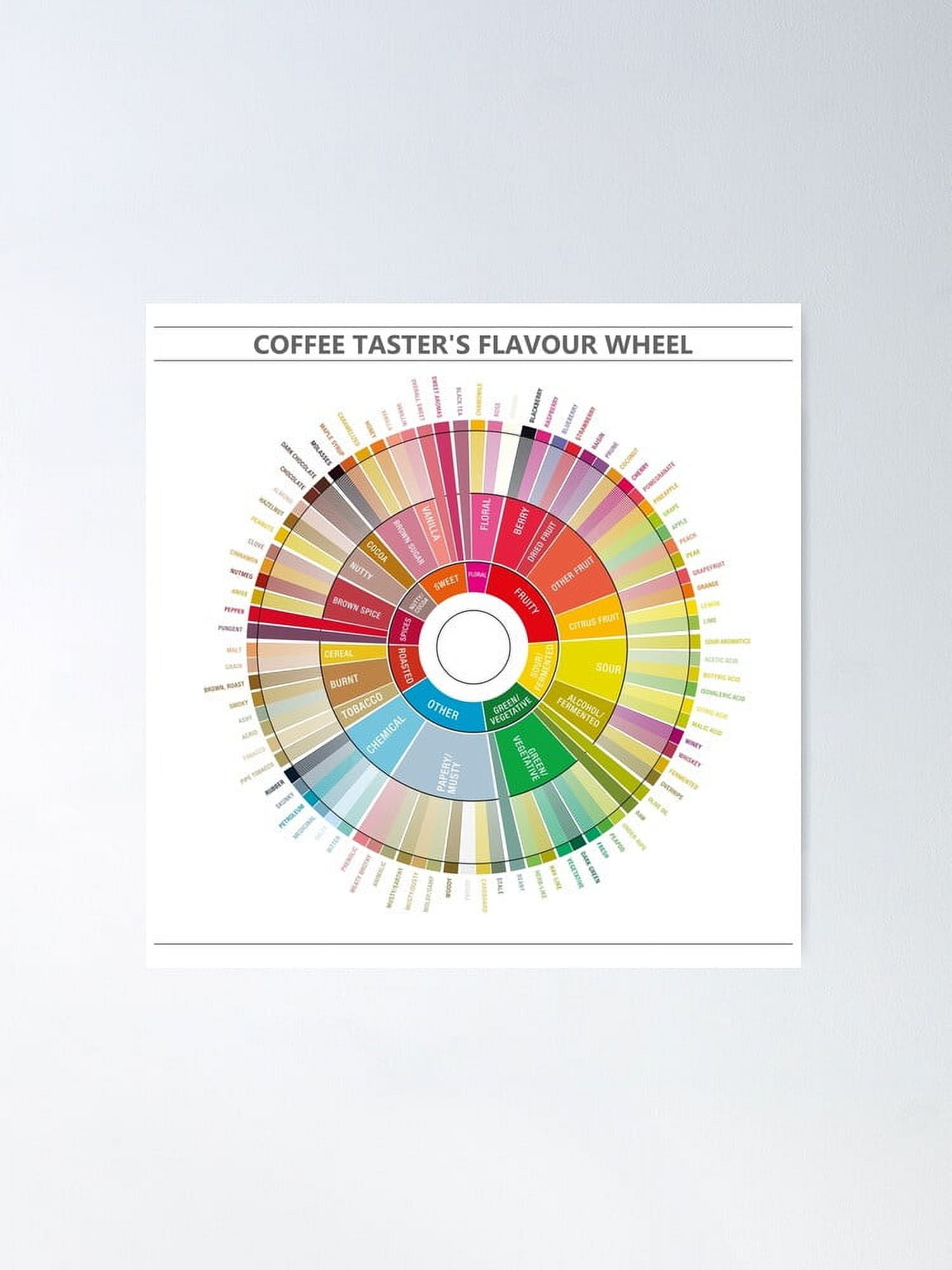 Coffee Flavour Wheel Poster - Walmart.com