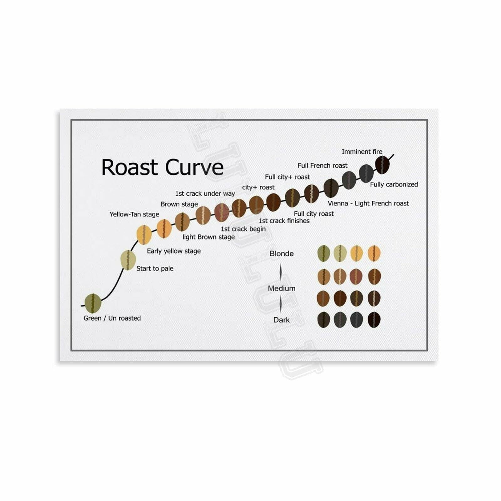 Coffee Roast Chart Poster Coffee Knowledge Guide (6) Canvas Painting ...