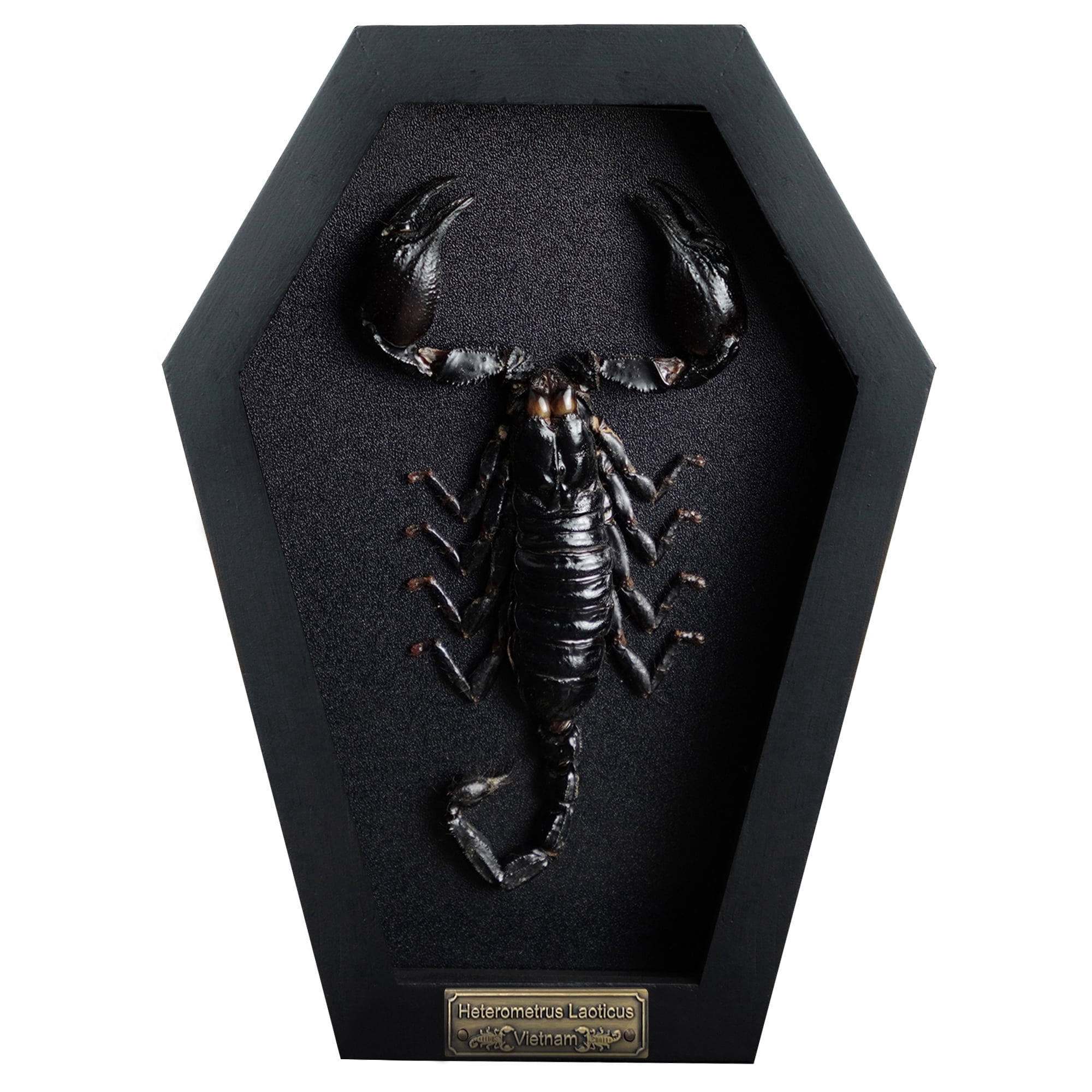 Coffin Art