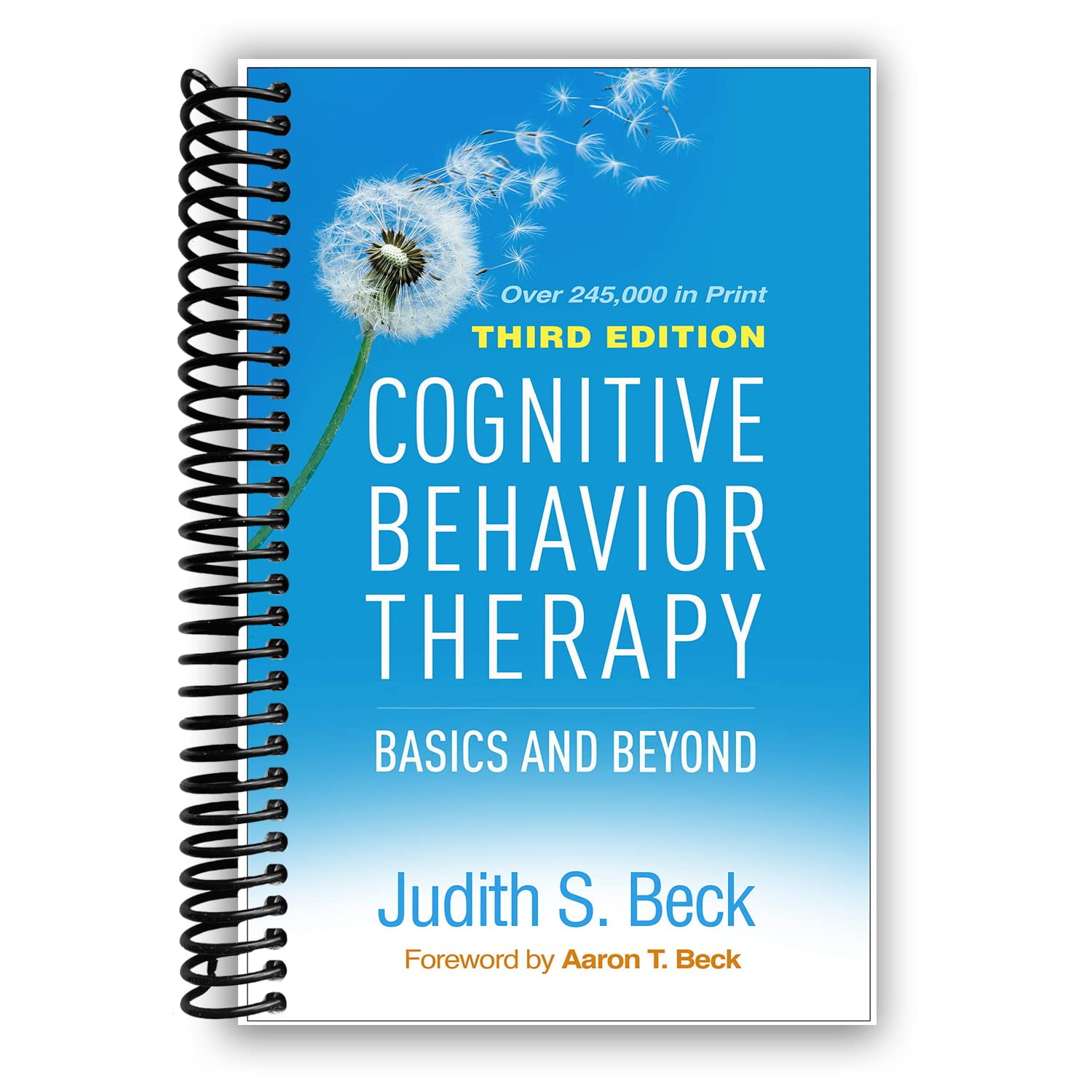Cognitive Behavior Therapy: Basics and Beyond (Spiral Bound) - Walmart.com
