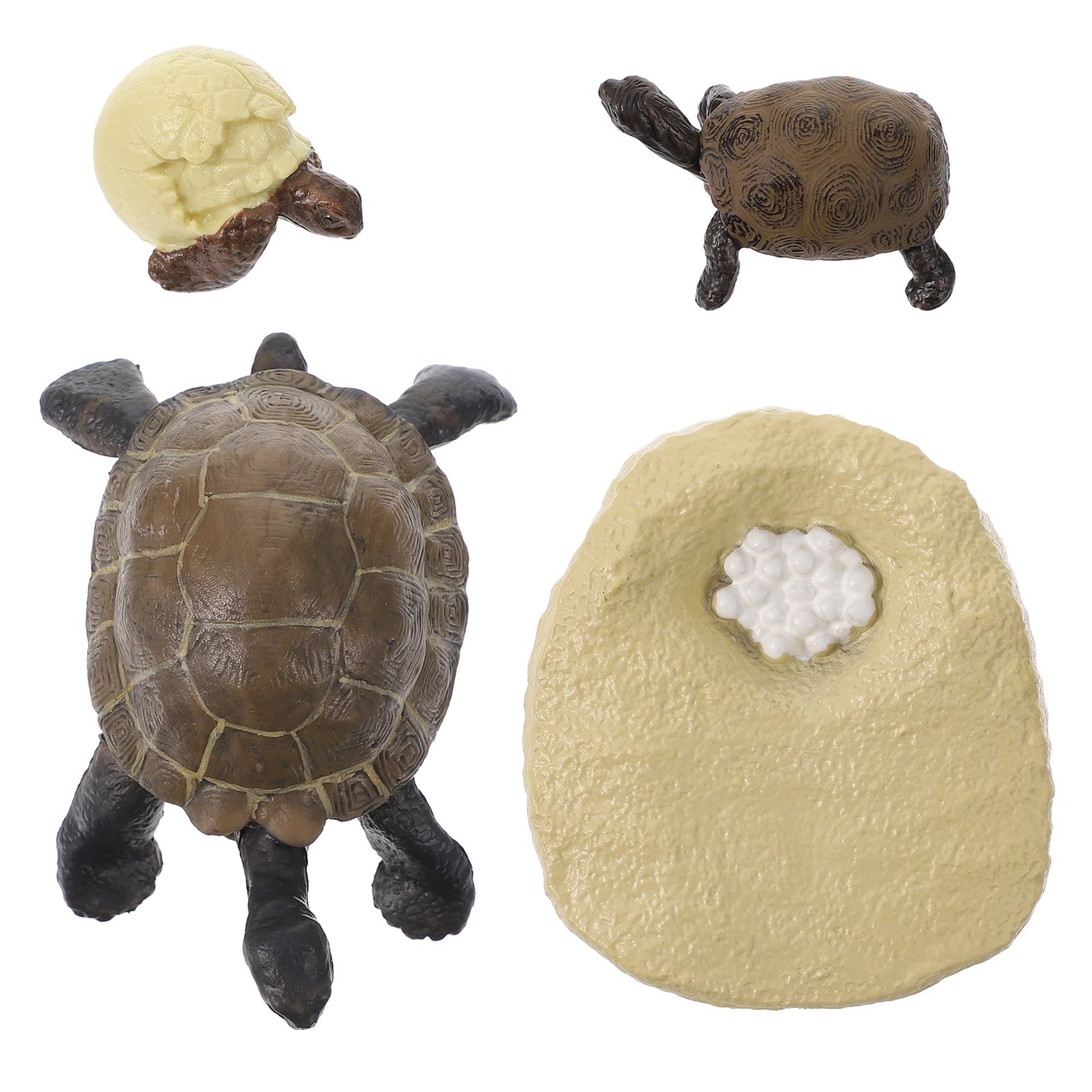 MOKKHNB Life Cycle Toys for Kids Tortoise Growth Cycle Models Plastic 1 ...