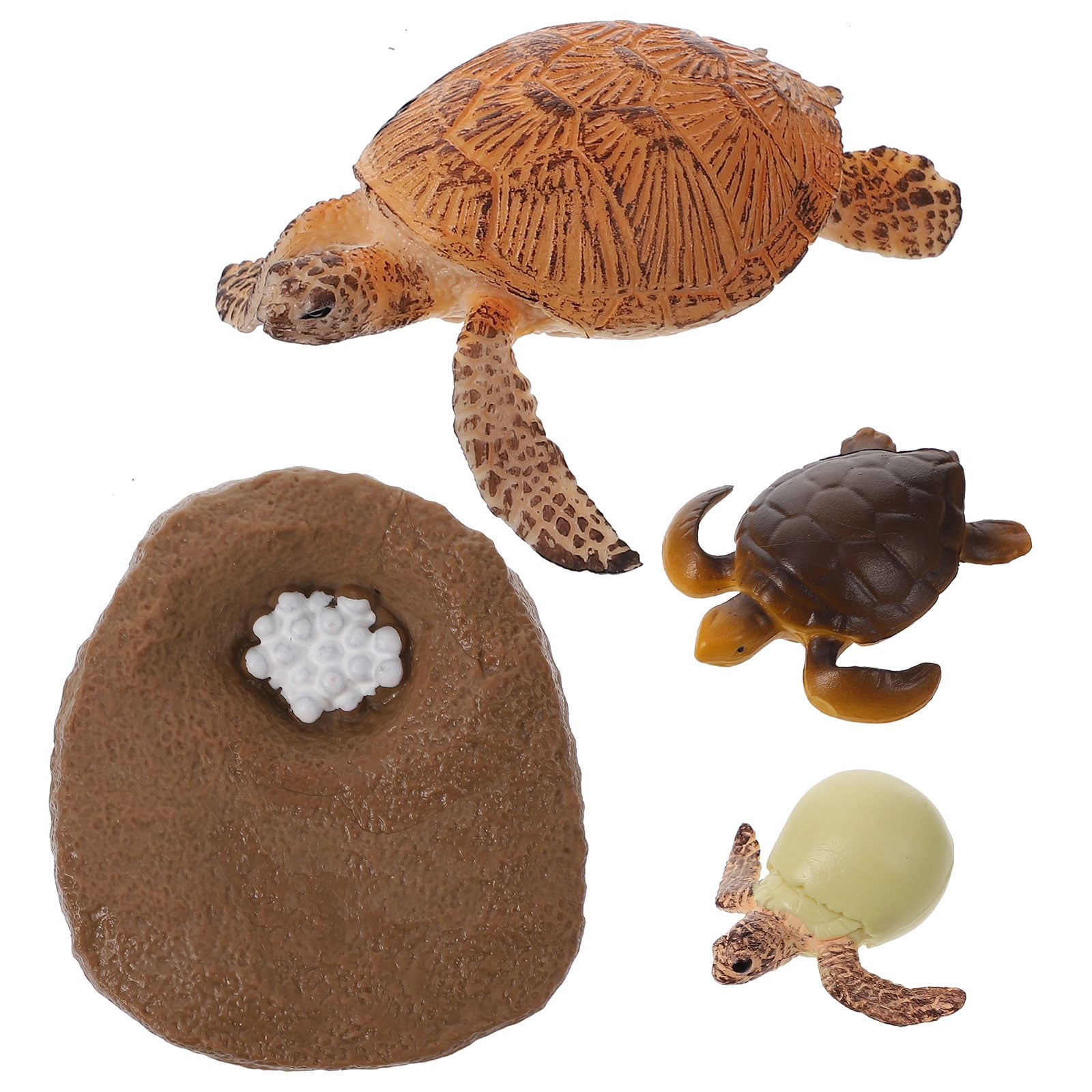 Cognitive Model of Life Models Sea Creature Cycle Toys Plastic Toddler ...