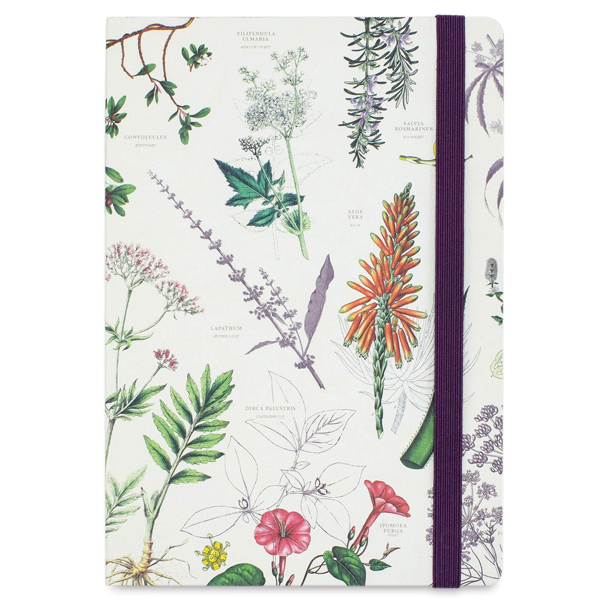 Cognitive Surplus Analysis Softcover Notebook - Medicinal Botany, A5 ...