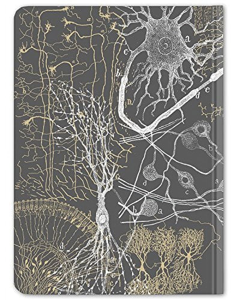 Cognitive Surplus Gray Neurons Notebook. (Large Size, Grid & Lined, 100 ...