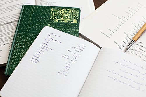 Cognitive Surplus Sage Green Linguistics Notebook. (Large Size, Grid ...