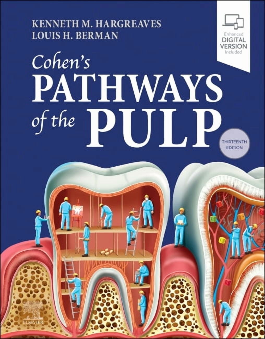 Cohen's Pathways of the Pulp, (Hardcover) - Walmart.com