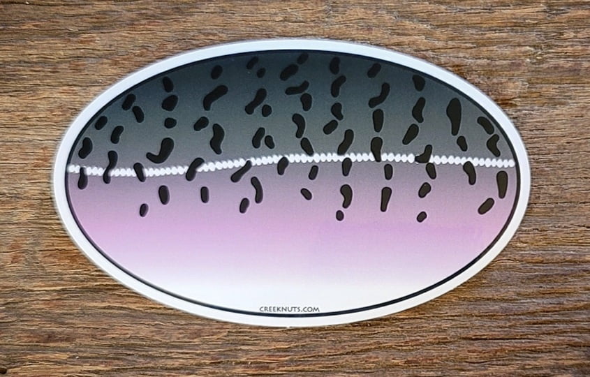 Coho Salmon Skin Sticker Decal - Walmart.com