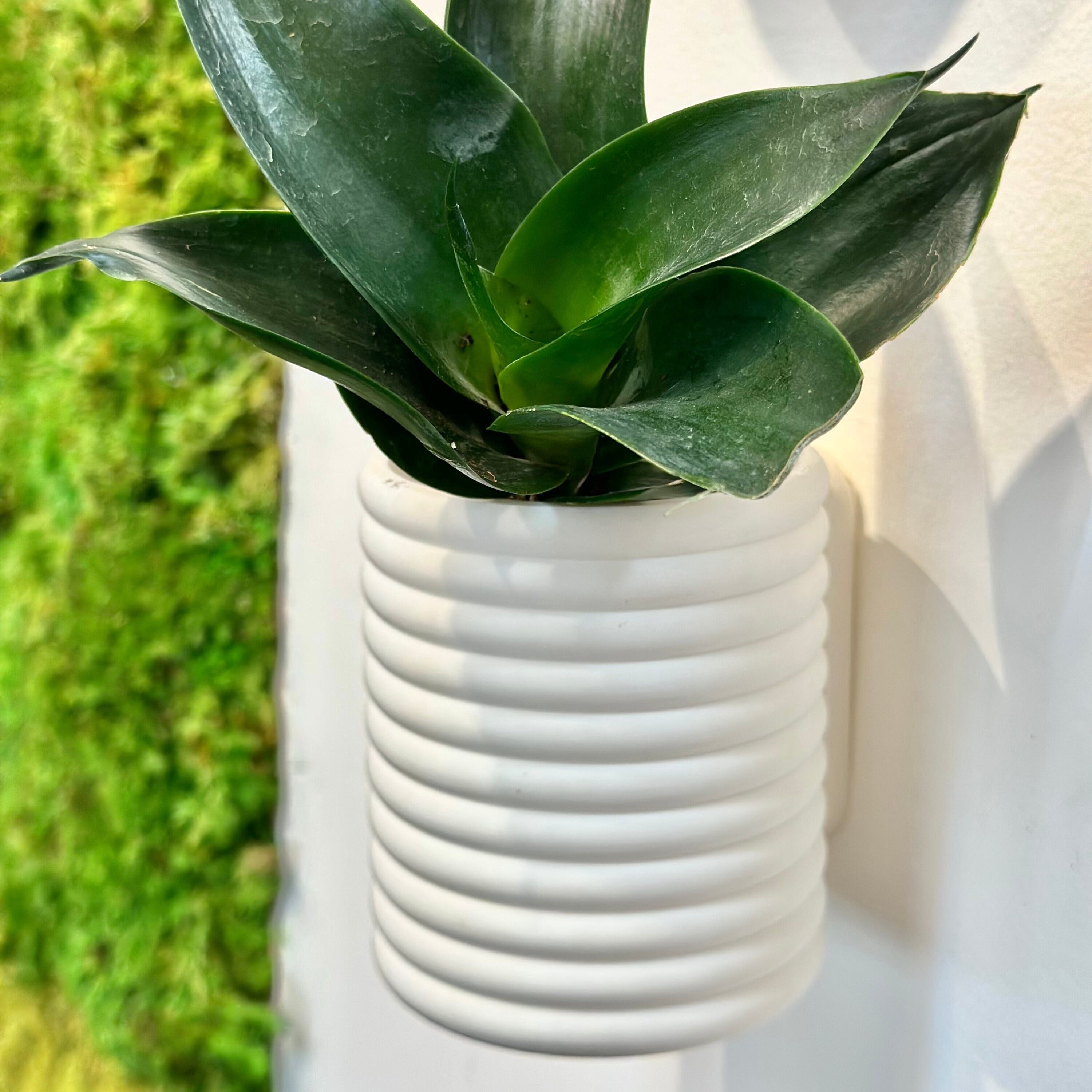 Coil Apartment Friendly Hanging Planter Pots with Drainage | Unique ...