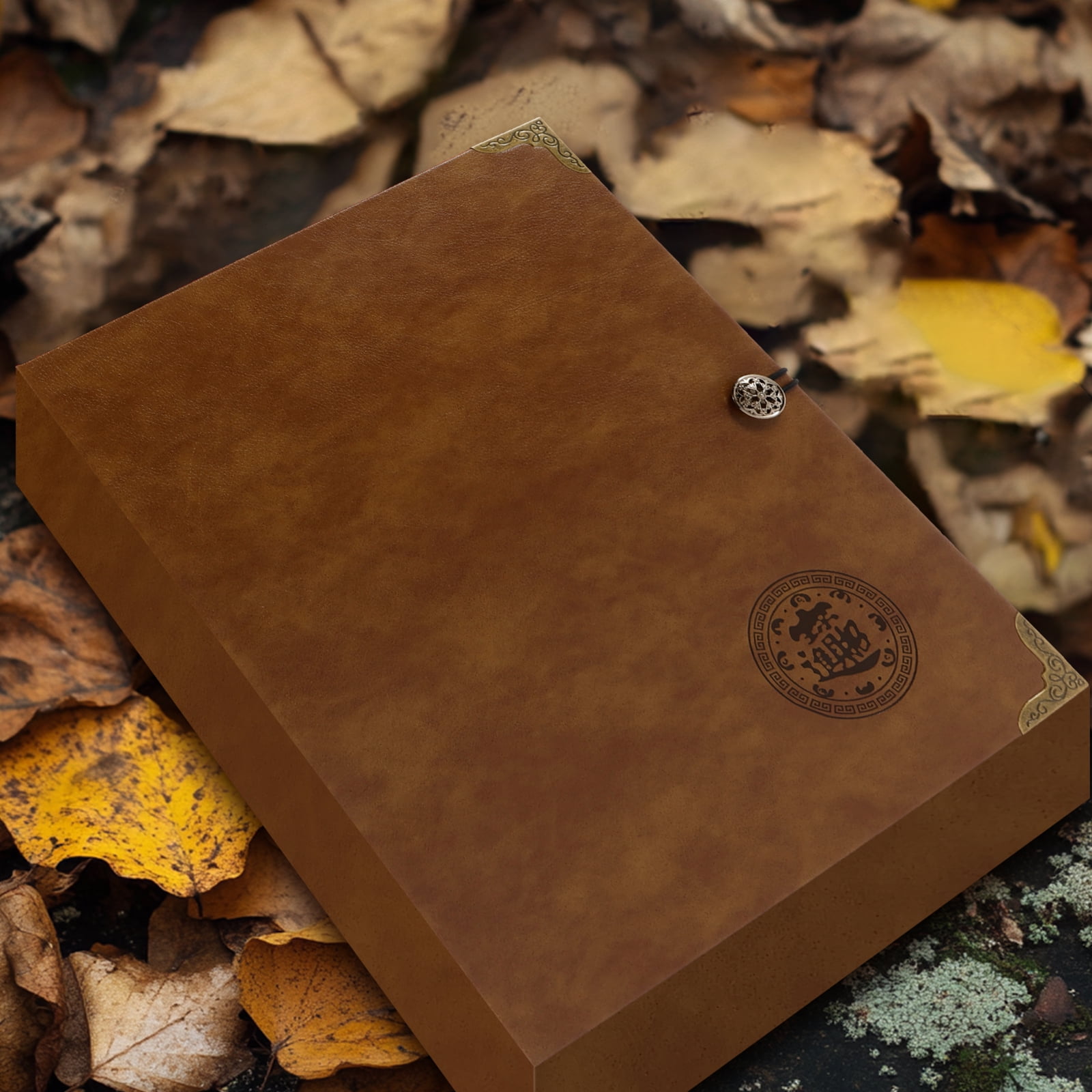 Coin Collection Book Holders for Collectors 2024, hold up to 240 ...