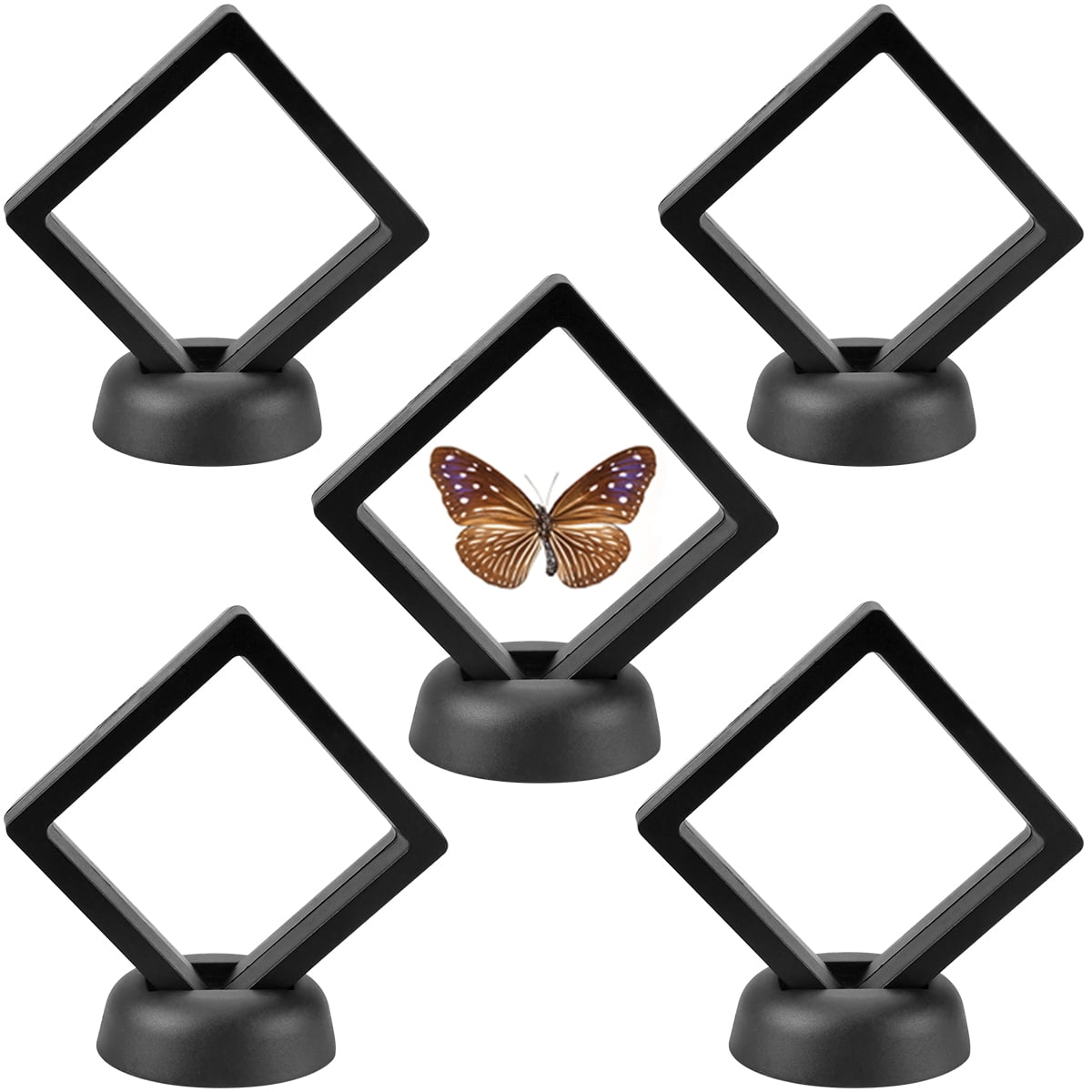 Coin Display Case 5 PCS 3D Display Frames with Stands Jewelry Display ...