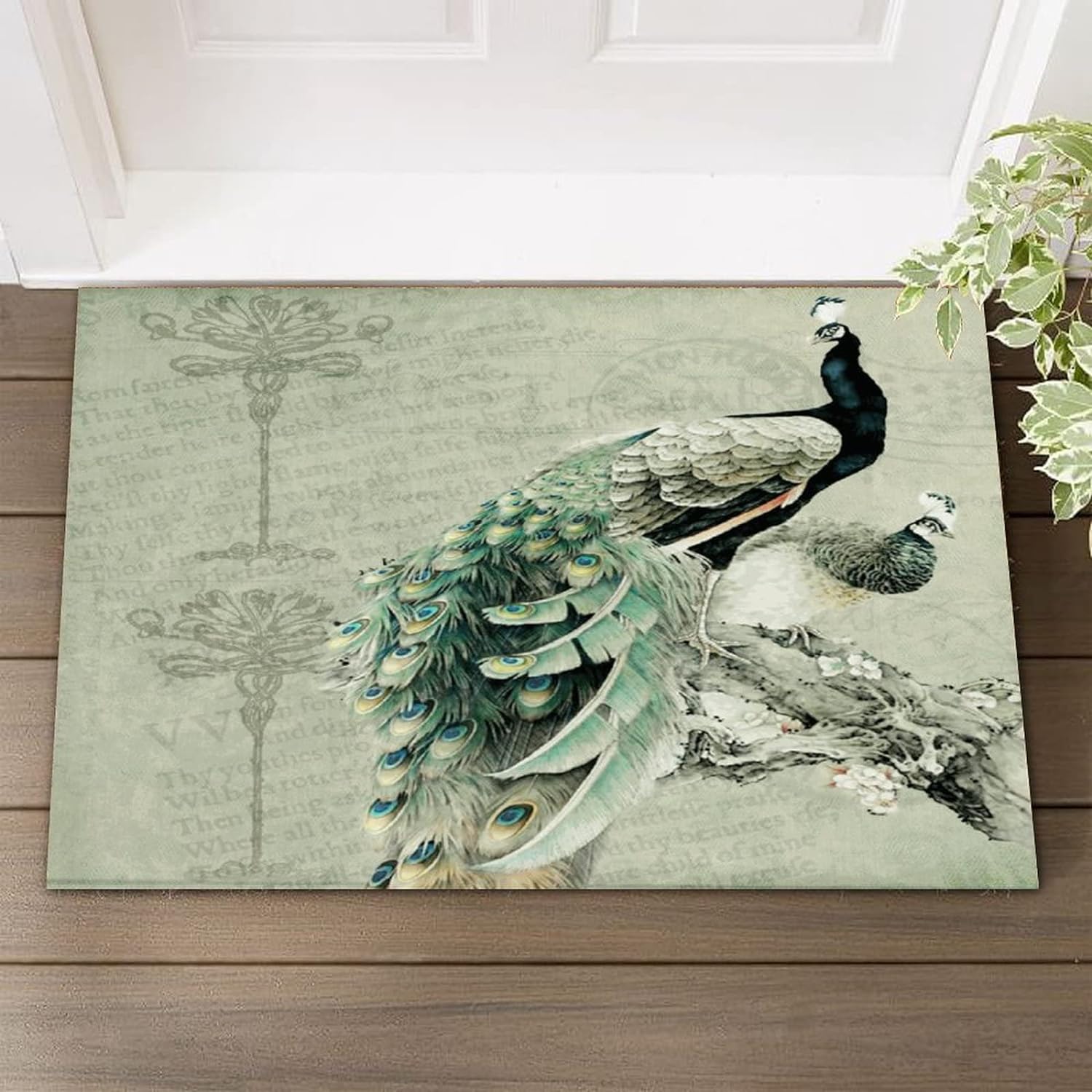 Coir Doormat French Elegant Style Retro Words with Colored Feathers 18 ...