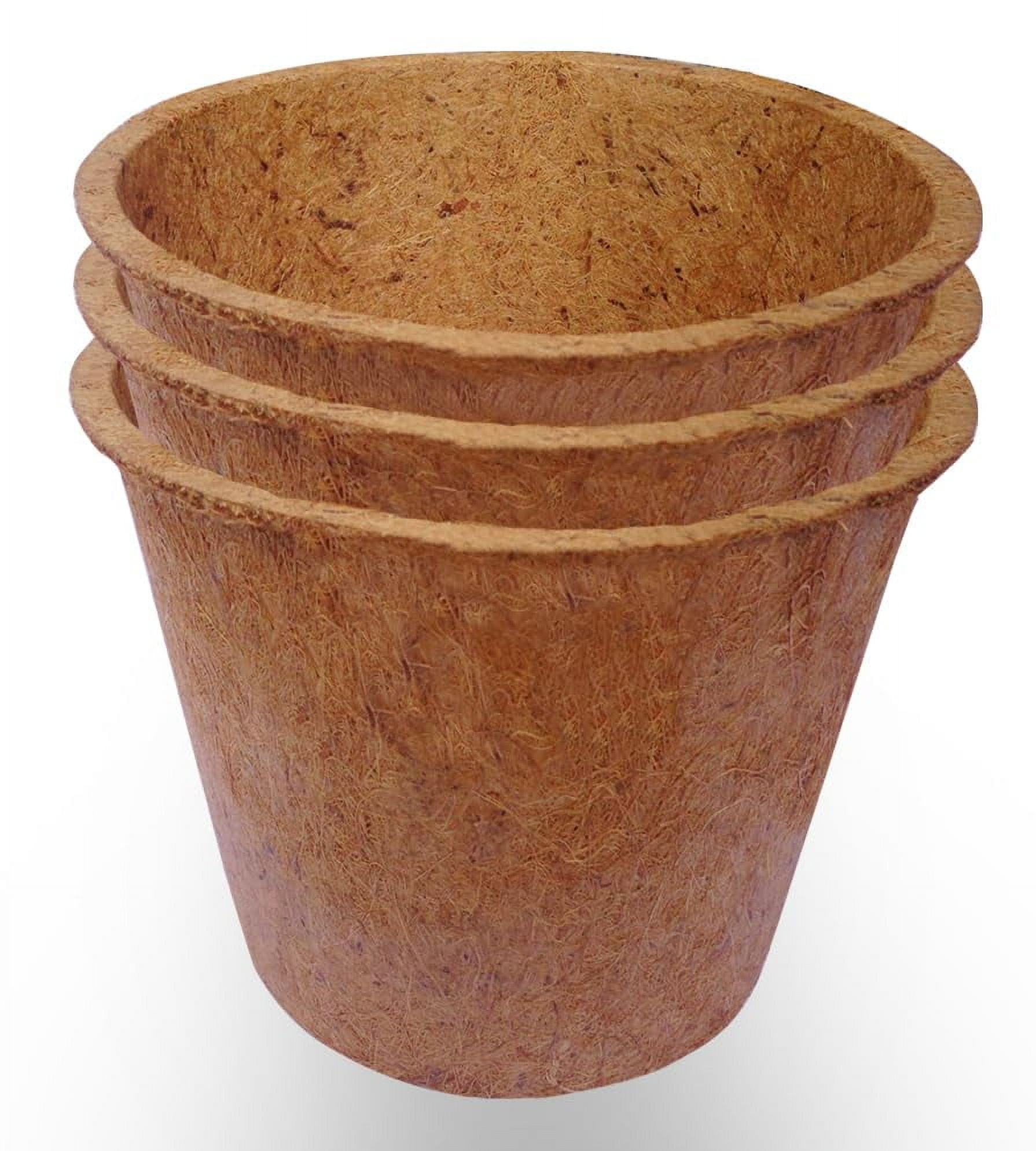 Coir Garden Coco Coir Flower Planter Pots,Nursery Pots (8 Inch Top Dia ...