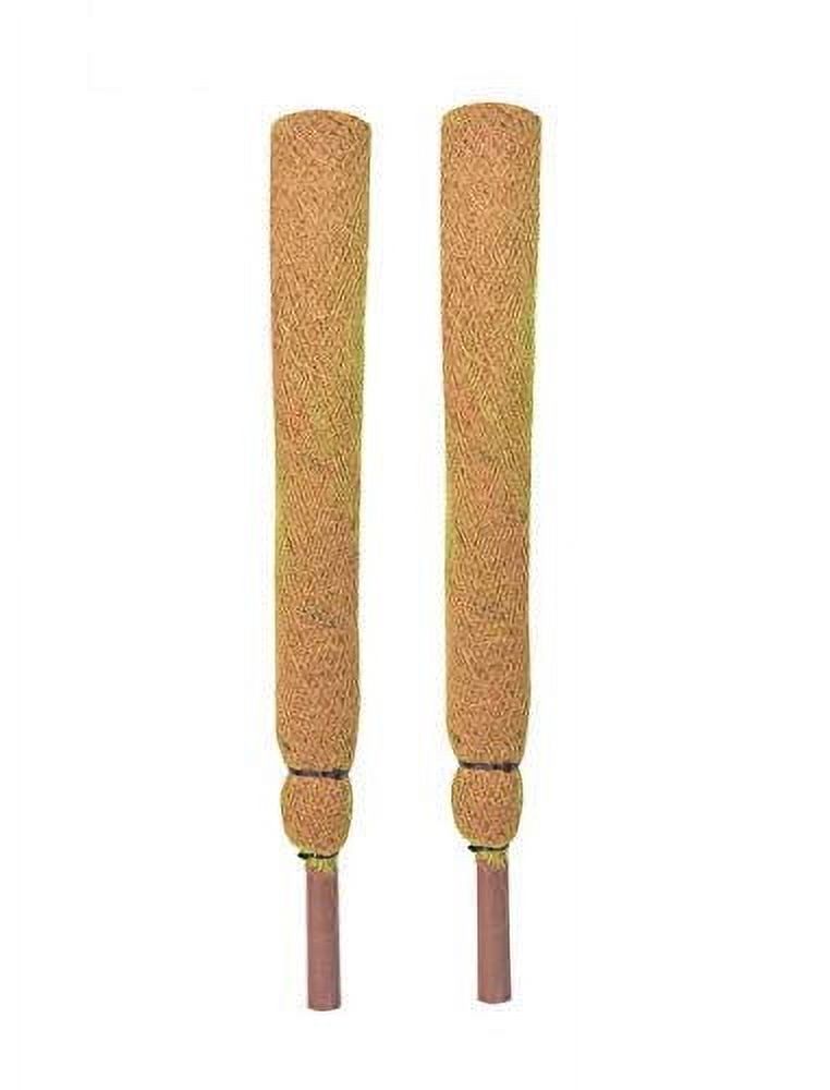 Coir Garden Moss & Coir Stick, 91 Cm, 2 Pieces (Caramel) - Walmart.com