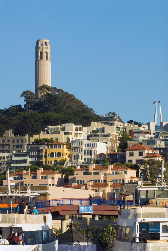 Coit Tower in San Francisco Photo Photograph Cool Wall Art Print Poster ...