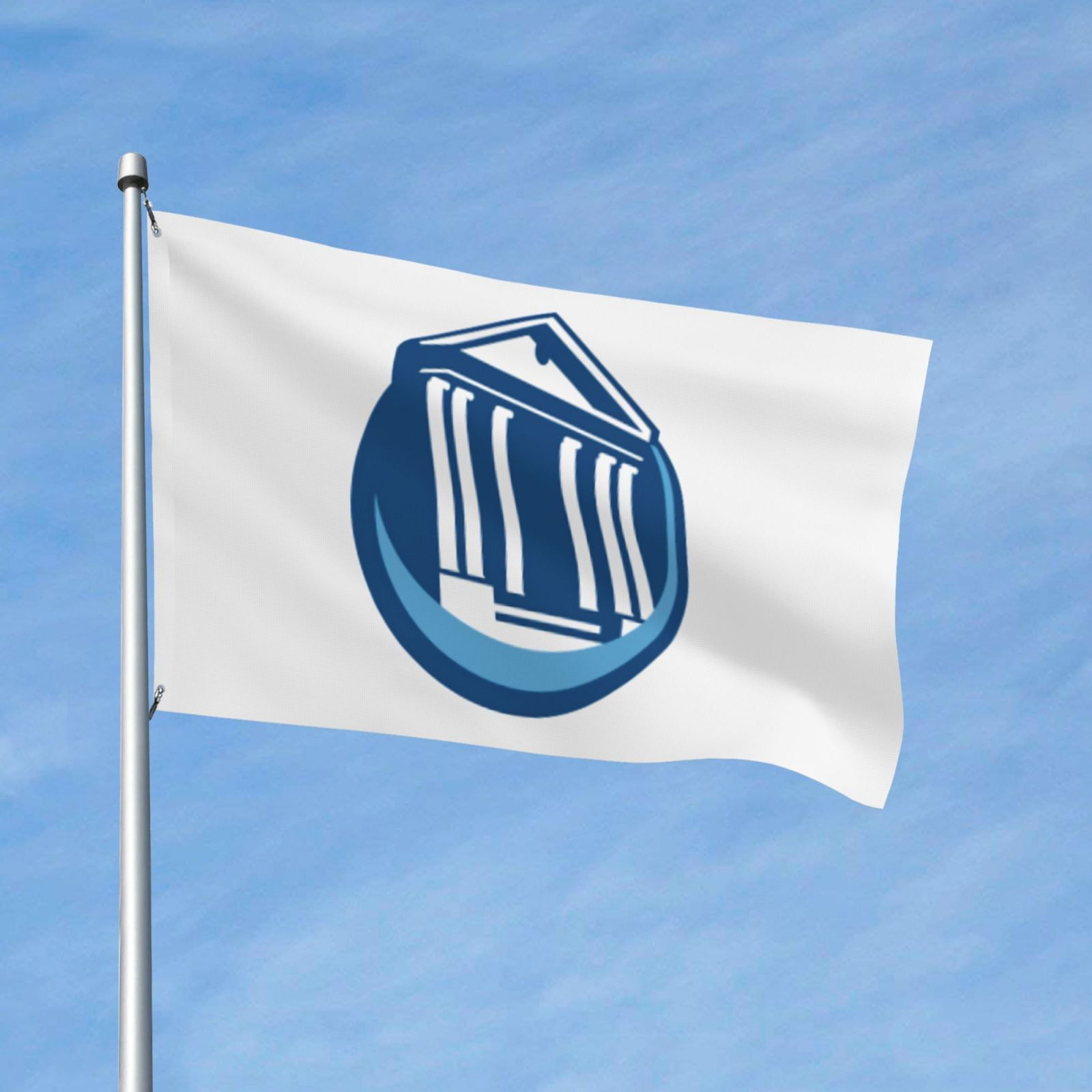 Coker University Logo 3x5ft Double Sided Outdoor Decorative Flags ...